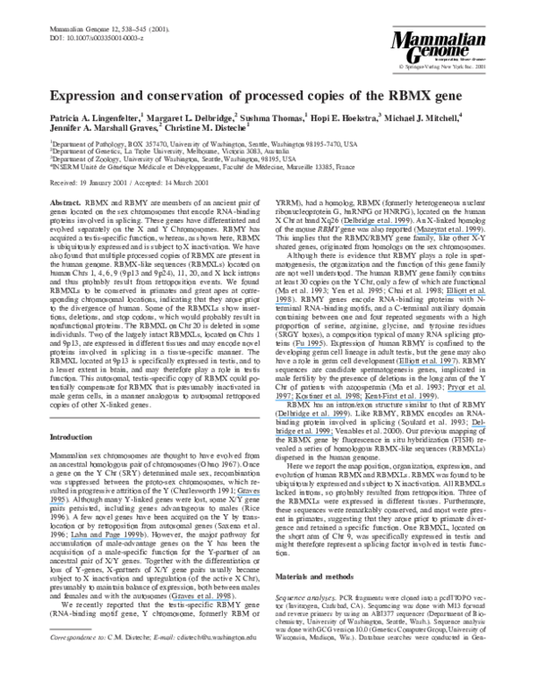 (PDF) Expression and conservation of processed copies of the RBMX gene