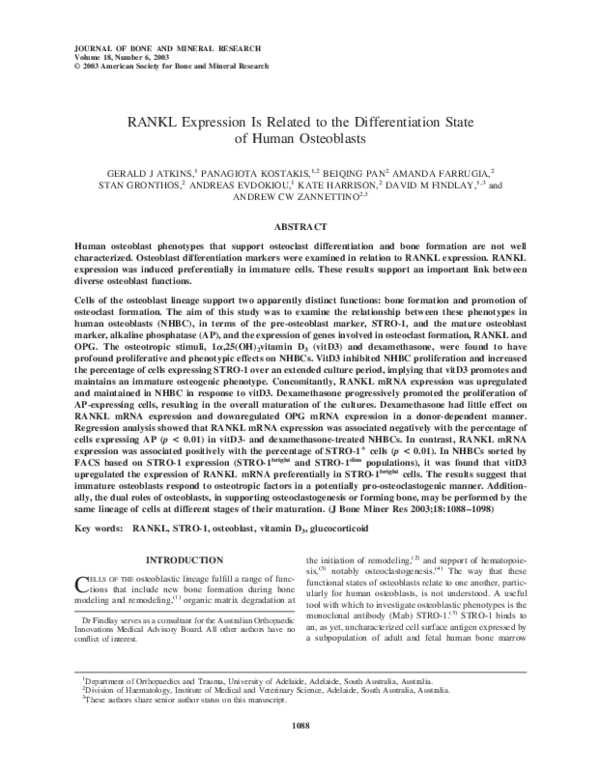 (PDF) RANKL Expression Is Related to the Differentiation State of Human ...