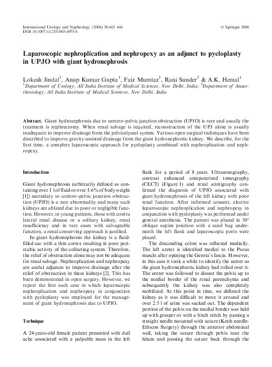 (PDF) Laparoscopic nephroplication and nephropexy as an adjunct to ...
