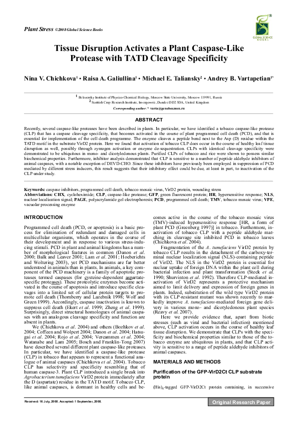 Tissue Disruption Activates a Plant Caspase-Like Protease with TATD ...