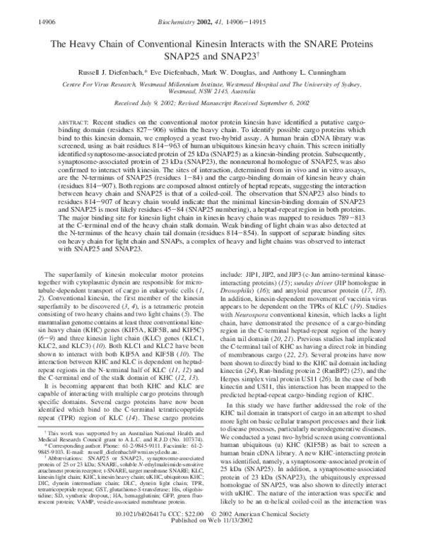 (PDF) The Heavy Chain of Conventional Kinesin Interacts with the SNARE ...