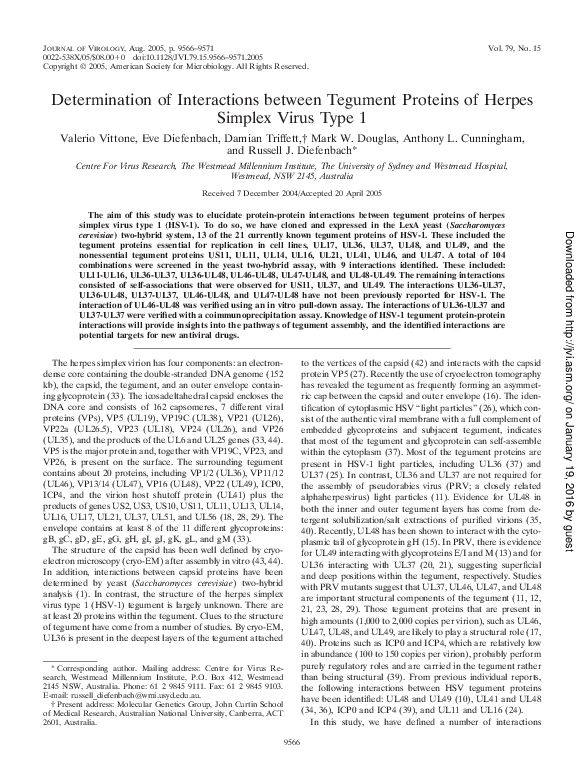 (PDF) HSV-1 Tegument Protein Interactions Revealed