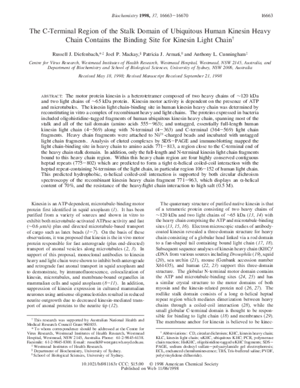 (PDF) The C-Terminal Region of the Stalk Domain of Ubiquitous Human ...