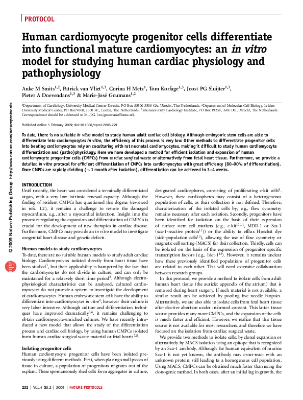 (PDF) Human cardiomyocyte progenitor cells differentiate into ...