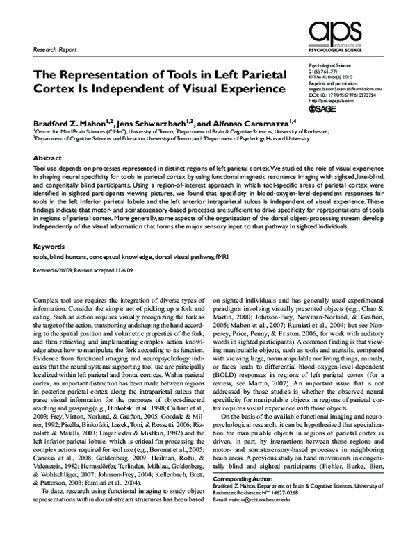 Pdf The Representation Of Tools In Left Parietal Cortex Is