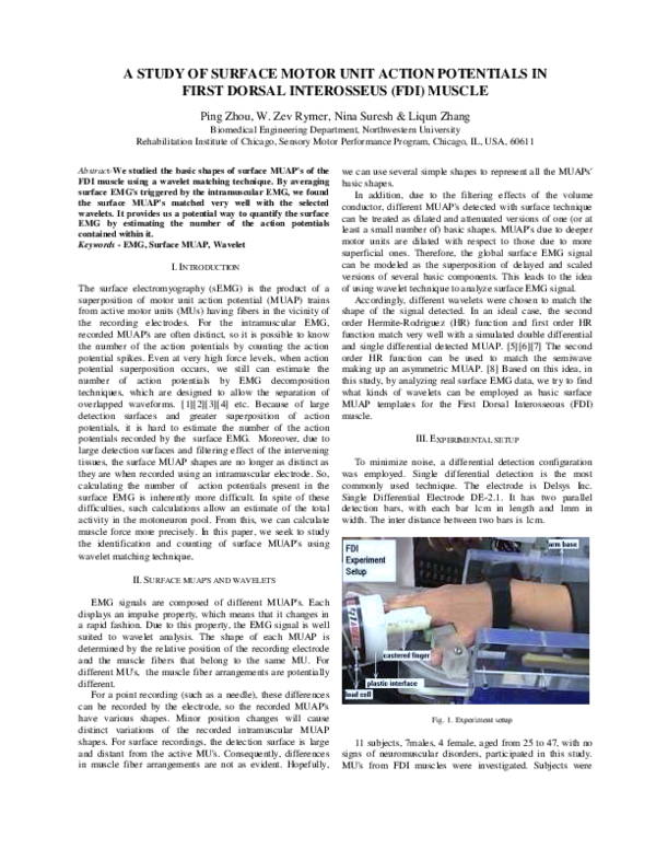 (PDF) A study of surface motor unit action potentials in first dorsal ...