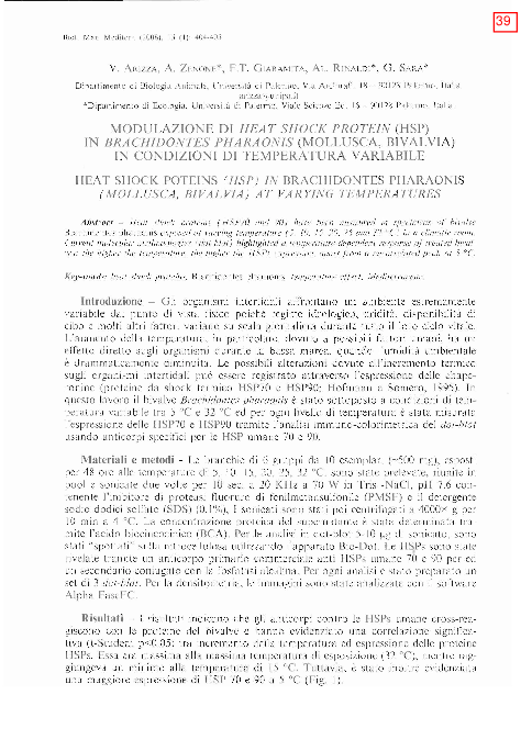(PDF) HEAT SHOCK POTEINS (HSP) IN BRACHIDONTES PHARAONIS (MOLLUSCA ...