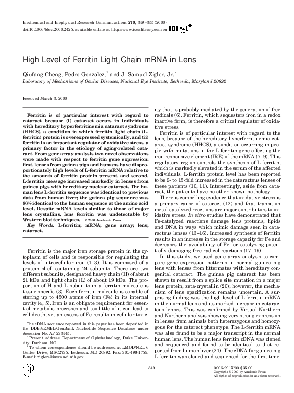 (PDF) High Level of Ferritin Light Chain mRNA in Lens