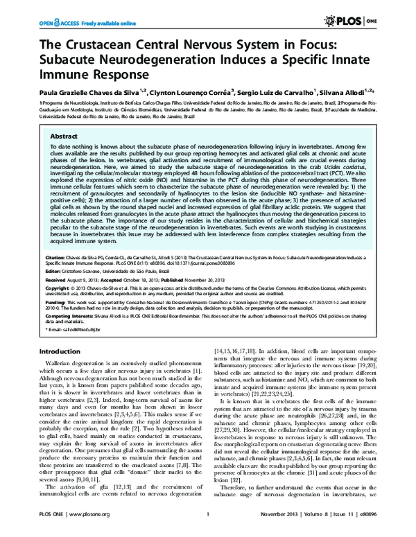 (PDF) The Crustacean Central Nervous System in Focus: Subacute ...