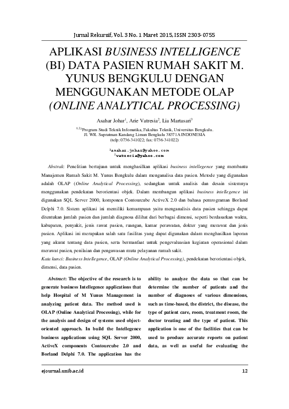 (PDF) APLIKASI BUSINESS INTELLIGENCE (BI) DATA PASIEN RUMAH SAKIT M. YUNUS BENGKULU DENGAN ...