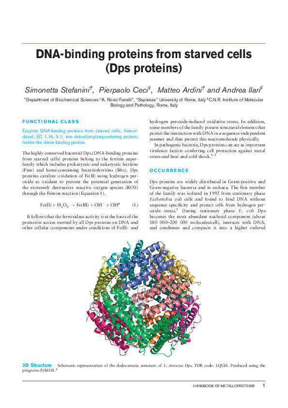 (PDF) DNA-Binding Proteins From Starved Cells (Dps Proteins)