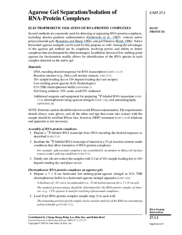 Dna Agarose Gel Loading Buffer Recipe | Deporecipe.co