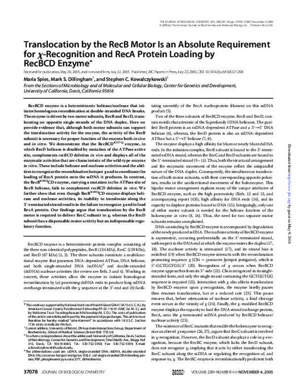(PDF) Translocation by the RecB Motor Is an Absolute Requirement for ...