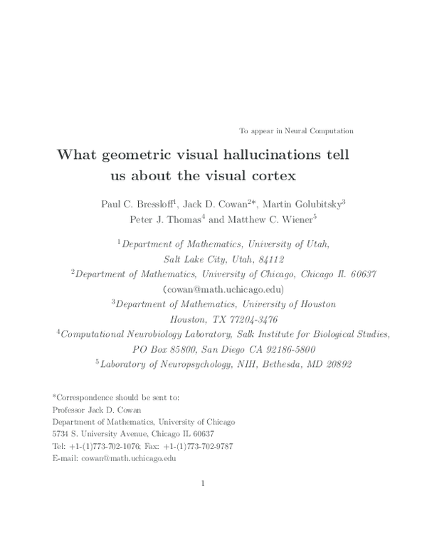 (PDF) What Geometric Visual Hallucinations Tell Us about the Visual Cortex