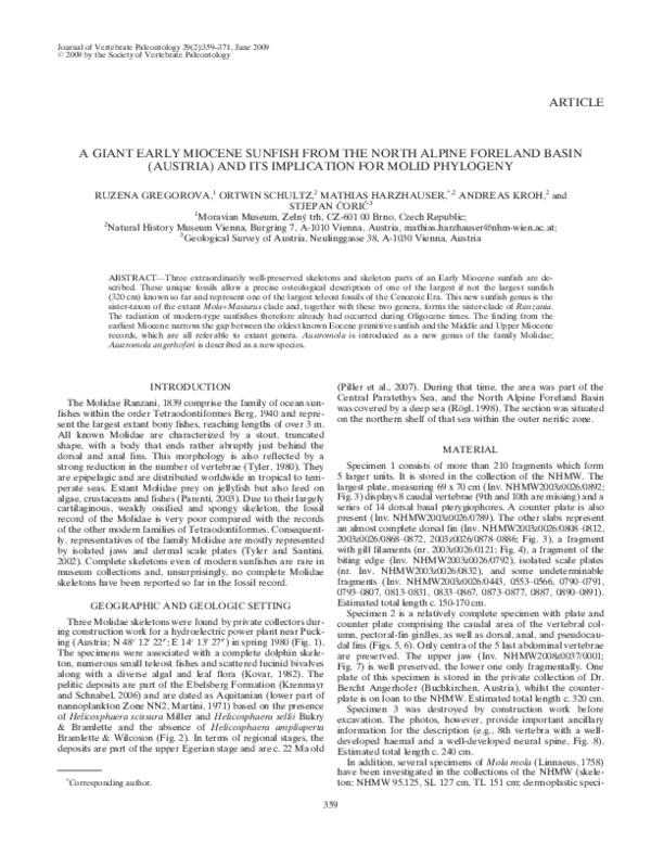(PDF) A giant early Miocene sunfish from the North Alpine Foreland ...