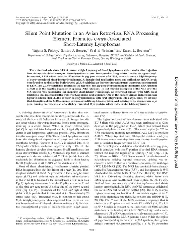 (PDF) Silent Point Mutation in an Avian Retrovirus RNA Processing ...
