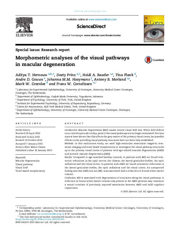 (PDF) Morphometric analyses of the visual pathways in macular ...