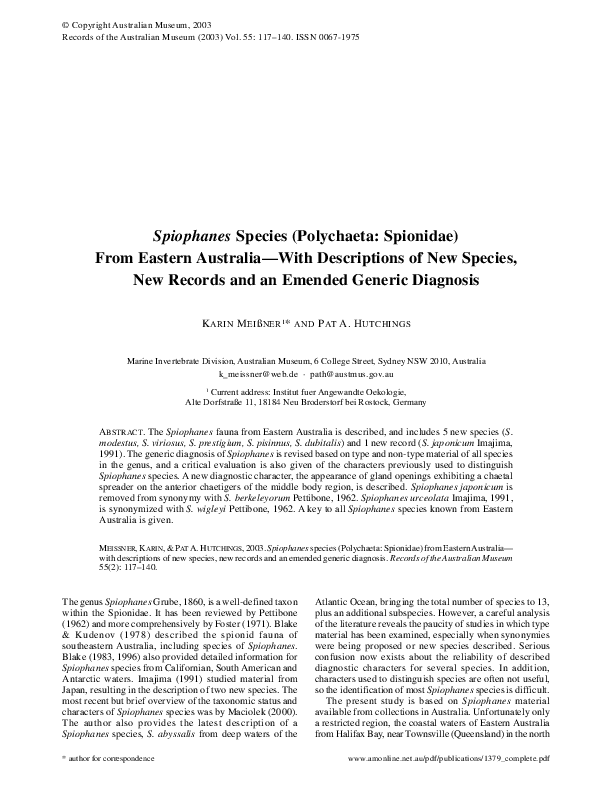 (PDF) Malacoceros longiseta, a new species of Spionidae (Annelida ...