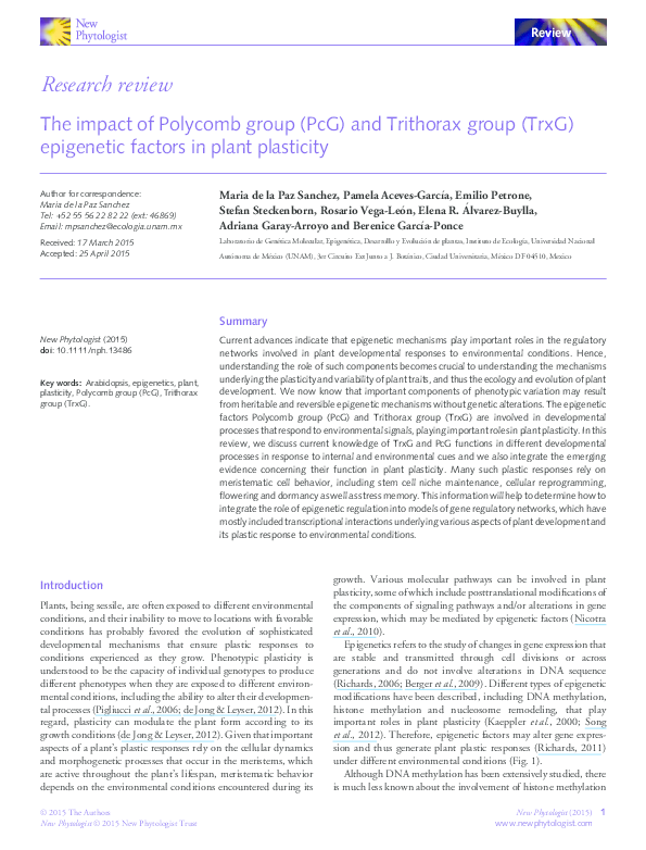 (PDF) The impact of Polycomb group (PcG) and Trithorax group (TrxG ...