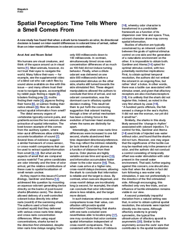 (PDF) Spatial Perception: Time Tells Where a Smell Comes From