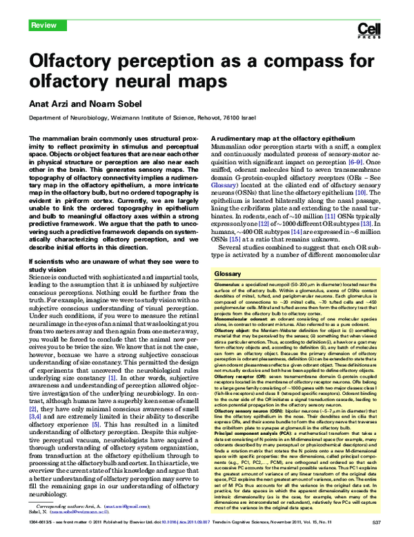 (PDF) Olfactory perception as a compass for olfactory neural maps
