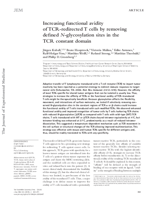 Pdf Increasing Functional Avidity Of Tcr Redirected T Cells By Removing Defined N