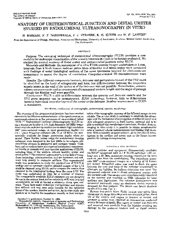 (PDF) Anatomy of Ureterovesical Junction and Distal Ureter Studied by ...