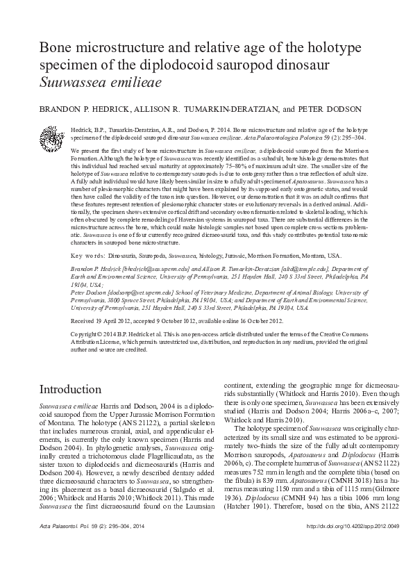 (PDF) Bone microstructure and relative age of the holotype specimen of ...