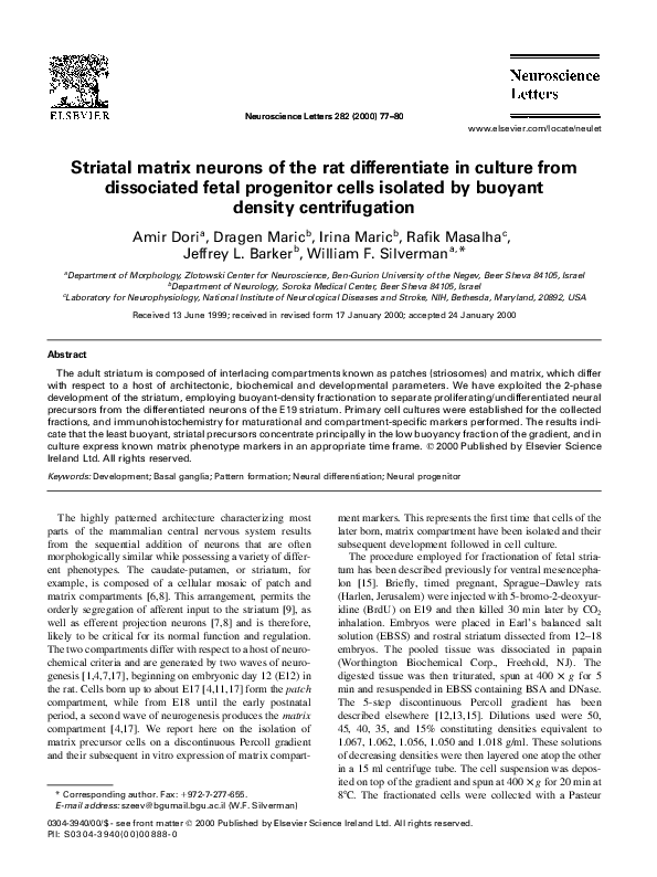 (PDF) Striatal matrix neurons of the rat differentiate in culture from ...