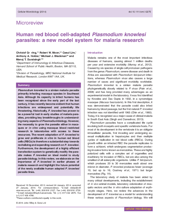 (PDF) Microreview Human red blood cell-adapted Plasmodium knowlesi ...