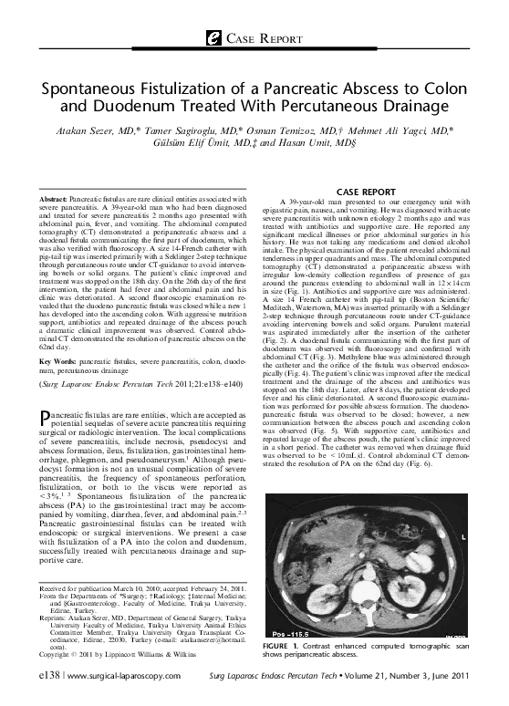 (PDF) CT Guided Percutaneous Drainage of Pancreatic Abscess : A Case ...