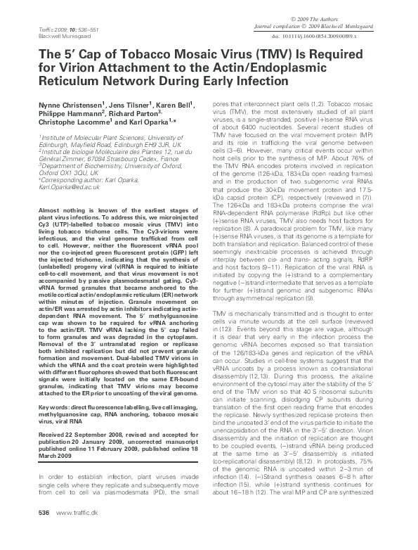 (PDF) The 5′ Cap of Tobacco Mosaic Virus (TMV) Is Required for Virion ...