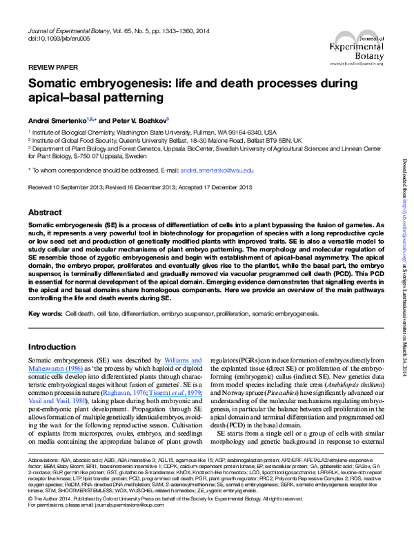 (PDF) Somatic embryogenesis: life and death processes during apical ...