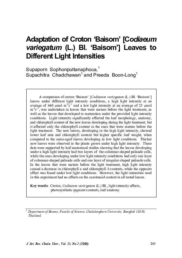 (PDF) Adaptation of Croton 'Baisom' (Codiaeum variegatum (L.) Bl ...