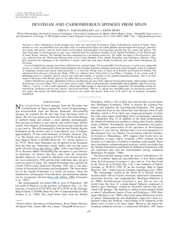 (PDF) Devonian and Carboniferous Sponges from Spain