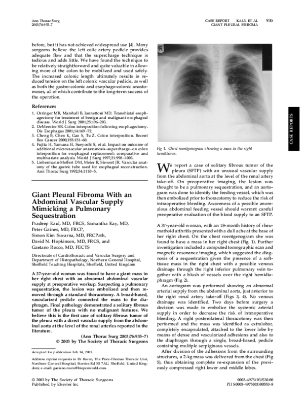 (PDF) Giant pleural fibroma with an abdominal vascular supply mimicking ...
