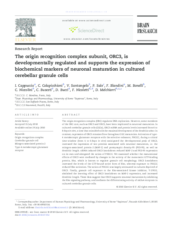 Pdf The Origin Recognition Complex Subunit Orc3 Is Developmentally Regulated And Supports