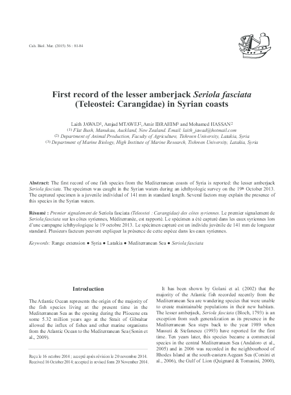 (PDF) First record of the lesser amberjack Seriola fasciata (Teleostei ...