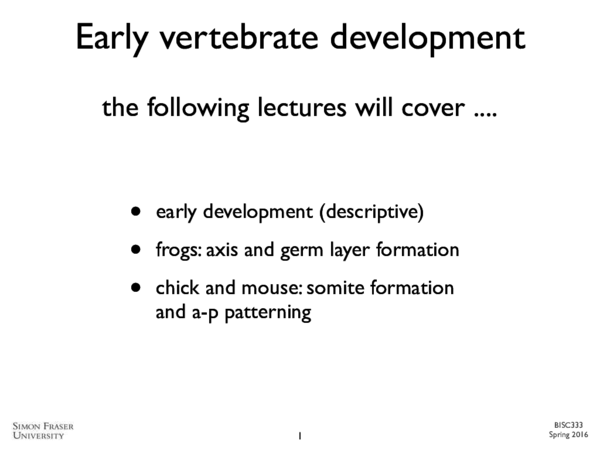 (PDF) Early vertebrate development