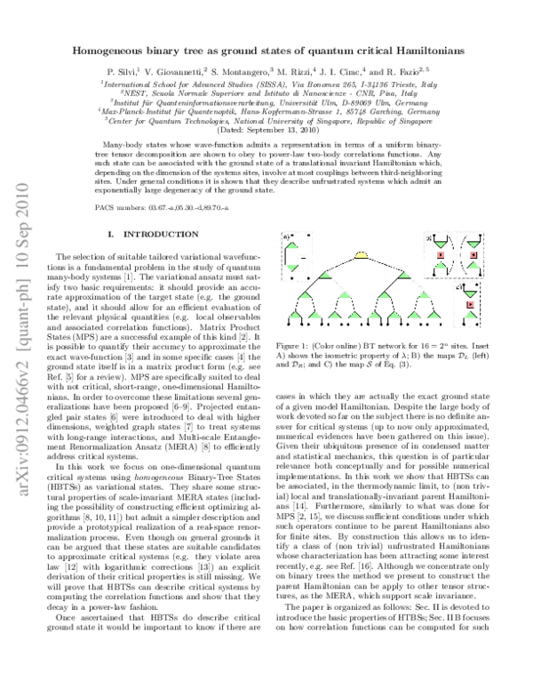 (PDF) Critical properties of homogeneous binary trees