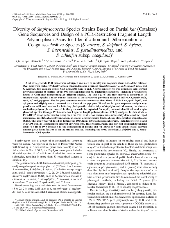 (PDF) Molecular Diagnostic Identification of Staphylococcus pseudintermedius | Manuela Iurescia ...