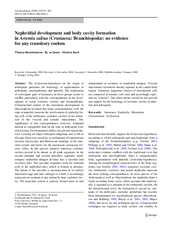 (PDF) Nephridial development and body cavity formation in Artemia ...