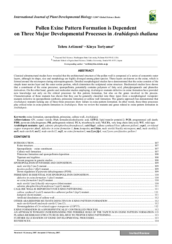 Pollen Exine Pattern Formation is Dependent on Three Major ...