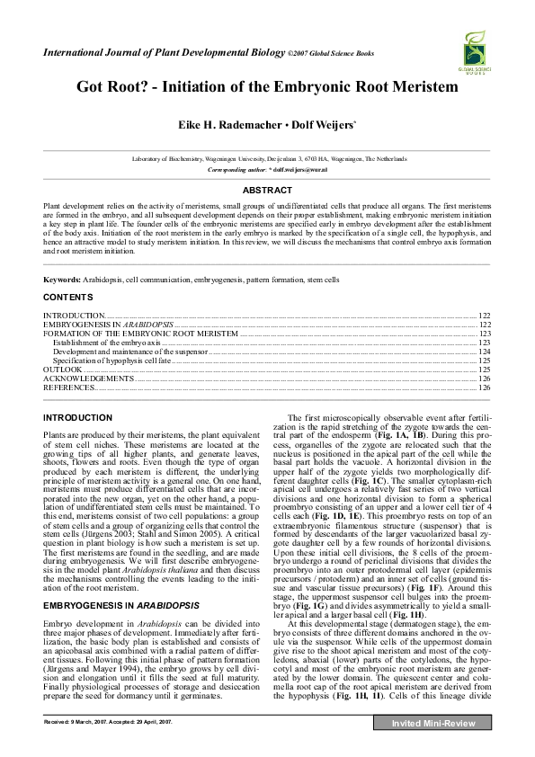 Got Root? - Initiation of the Embryonic Root Meristem