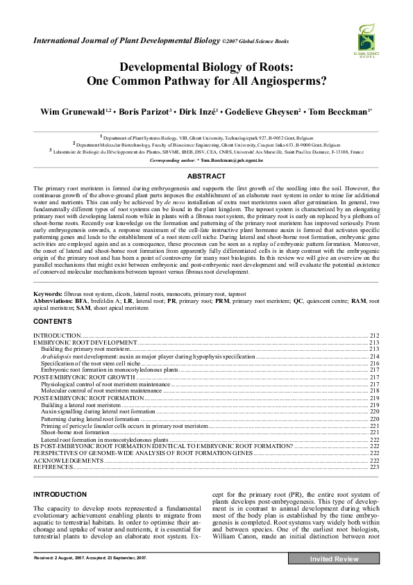 Developmental Biology of Roots: One Common Pathway for All Angiosperms ...