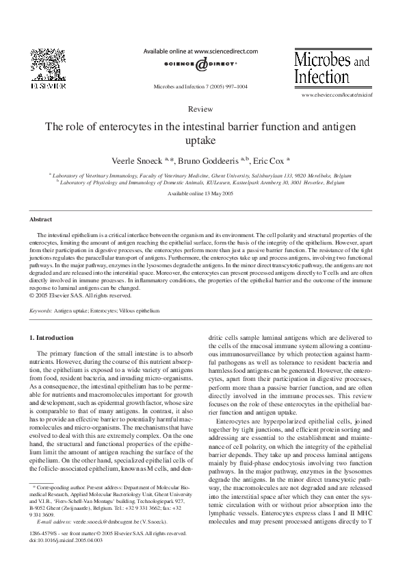 (PDF) The role of enterocytes in the intestinal barrier function and ...