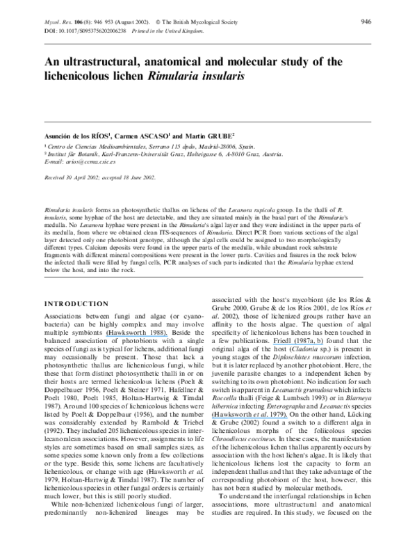 (PDF) An ultrastructural, anatomical and molecular study of the ...