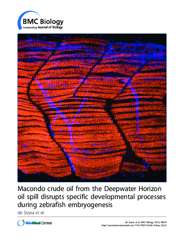 (PDF) Macondo crude oil from the Deepwater Horizon oil spill disrupts ...