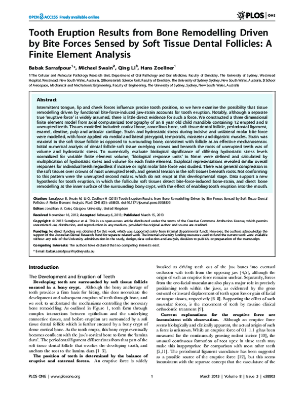 (PDF) Tooth Eruption Results from Bone Remodelling Driven by Bite ...