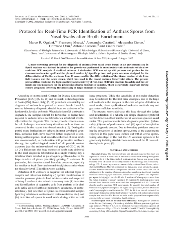 (PDF) Protocol for Real-Time PCR Identification of Anthrax Spores from ...